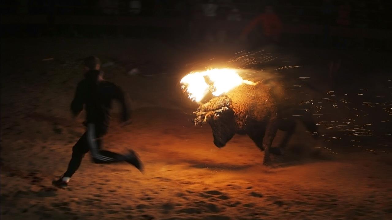 Video: Medinaceli celebra la controvertida fiesta del Toro Jubilo ...