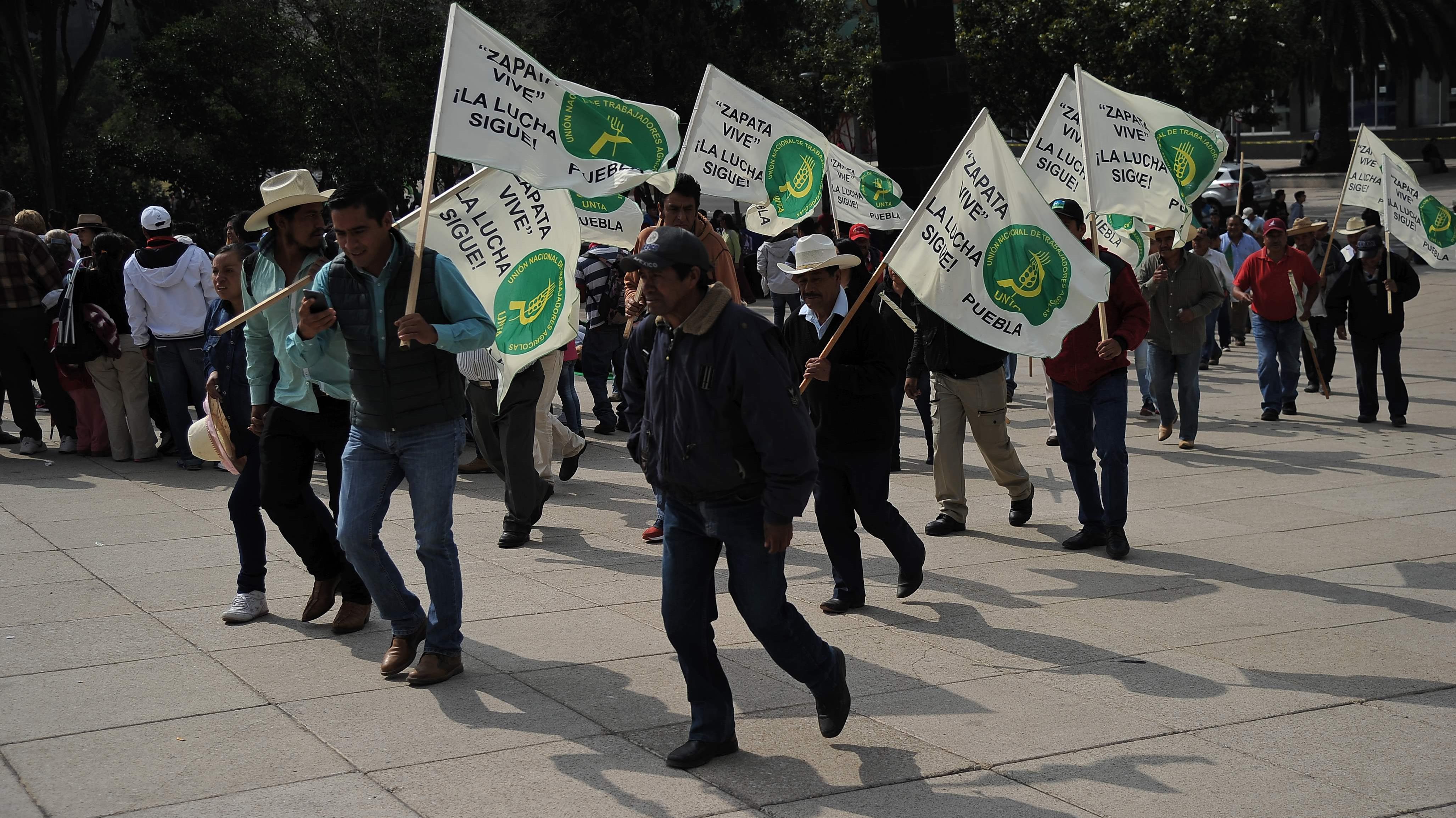 Miles de campesinos mexicanos protestan en rechazo al TLCAN | HISPANTV