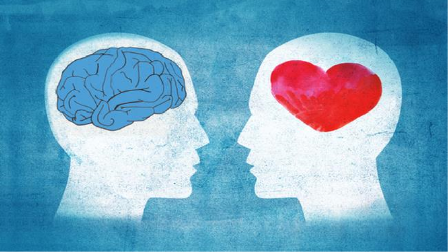 Hallan diferencias físicas entre cerebro de las personas racionales y ...