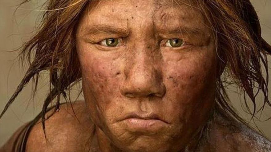 Humanos modernos tienen un proceso único de desarrollo facial | HISPANTV