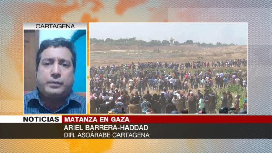 Ariel Barrera-Haddad: HAMAS sale victorioso en marchas de Gaza | HISPANTV